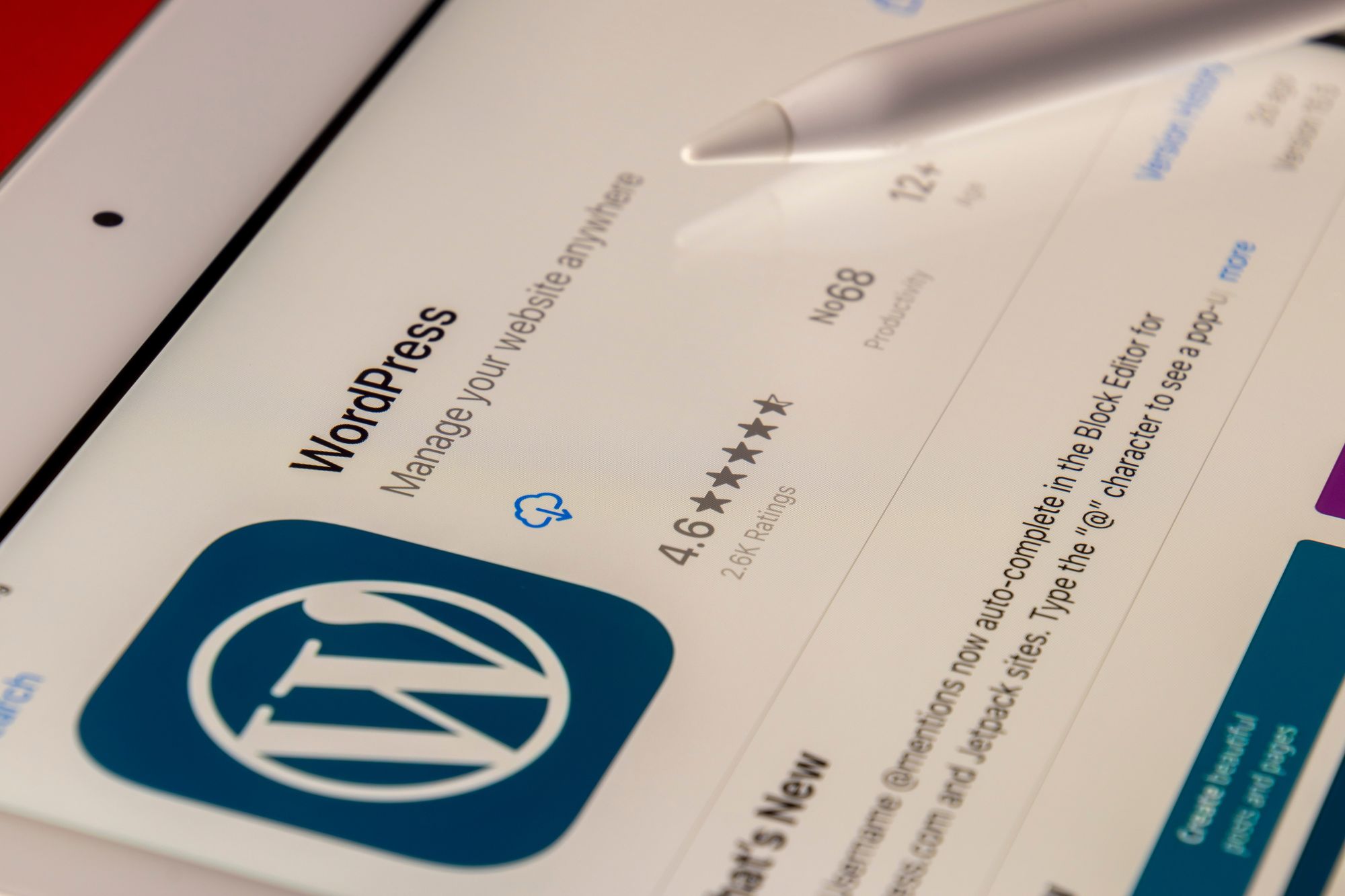 How To Create A Chat Room Website In 2022