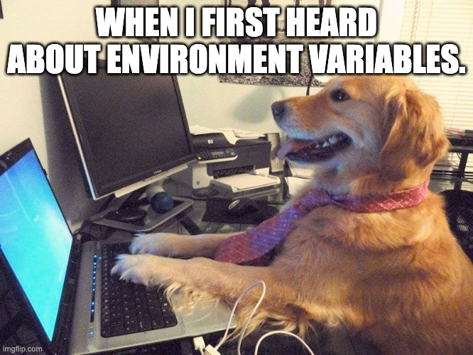 Environment Variables in NodeJs: The complete Guide