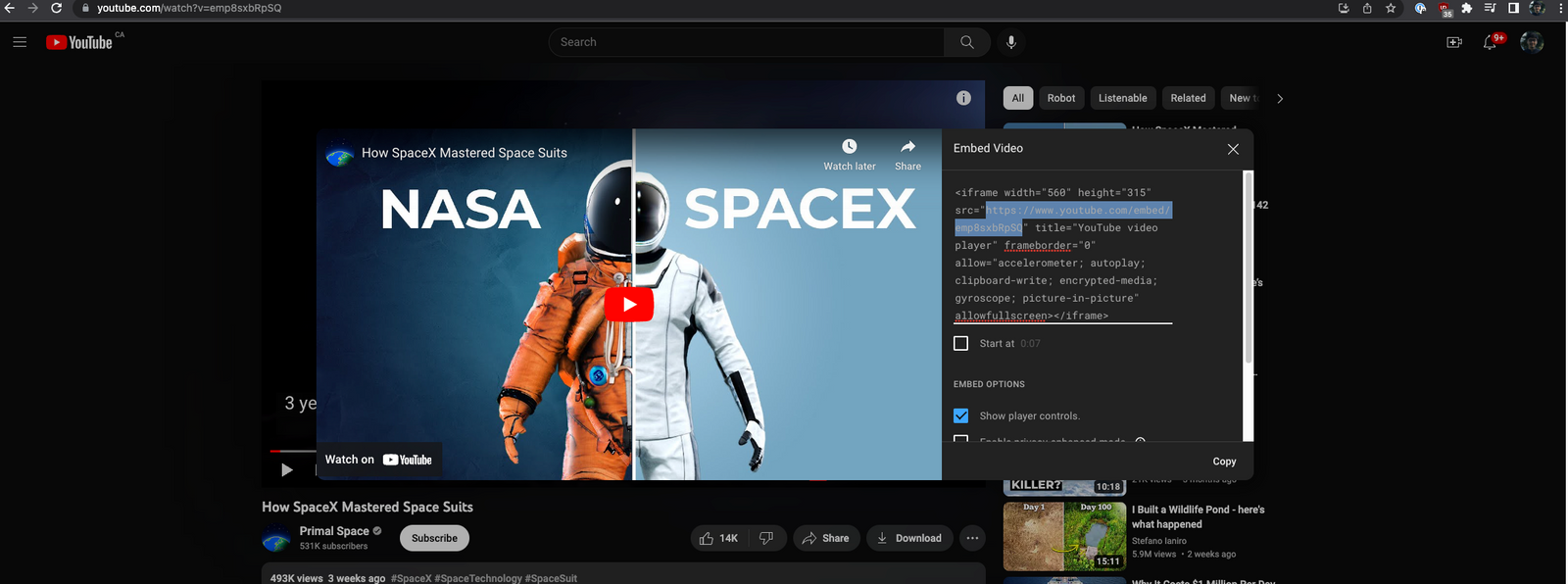 How to add Web iFrame in Flutter | Flutter WebView Tutorial